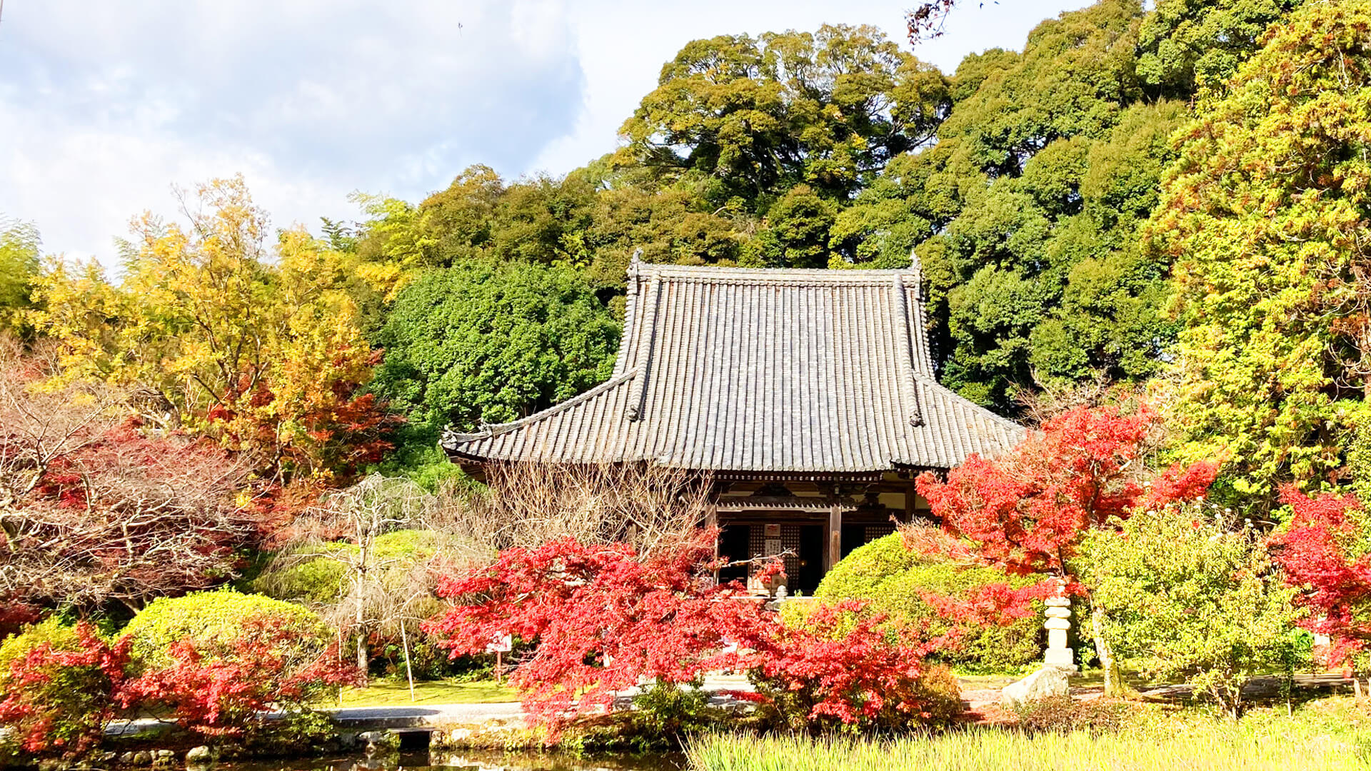 Osaka Day Tours – Car Tours, Walking Tours, Countryside Tours, Hiking Tours